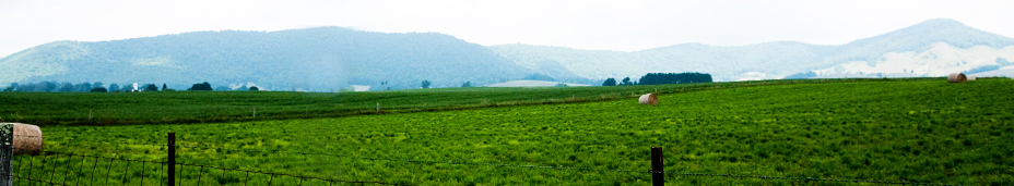 Official Photo | Congressman Morgan Griffith